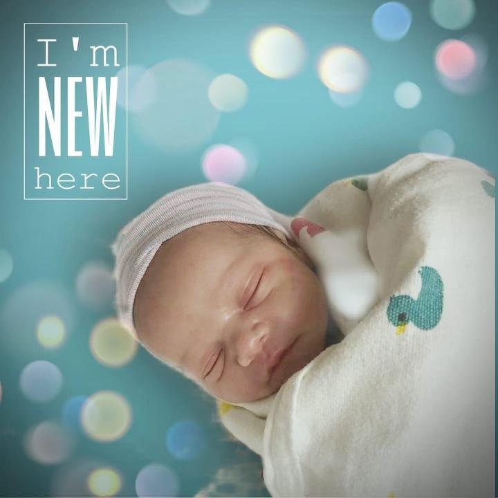 Kelly Guillory's Instagram, Twitter & Facebook on IDCrawl